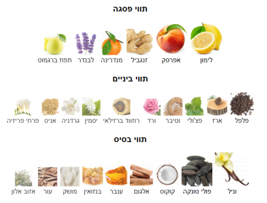 בושם גבר שאנל אלור אדט Allure Homme Chanel EDT 150ml - Beau Visage