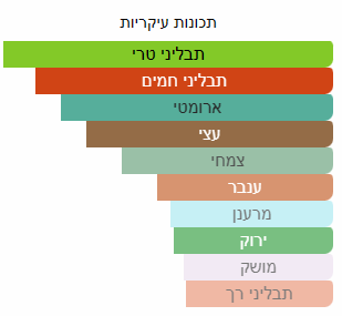 Euphoria Men Calvin Klein EDT 100ML - Beau Visage